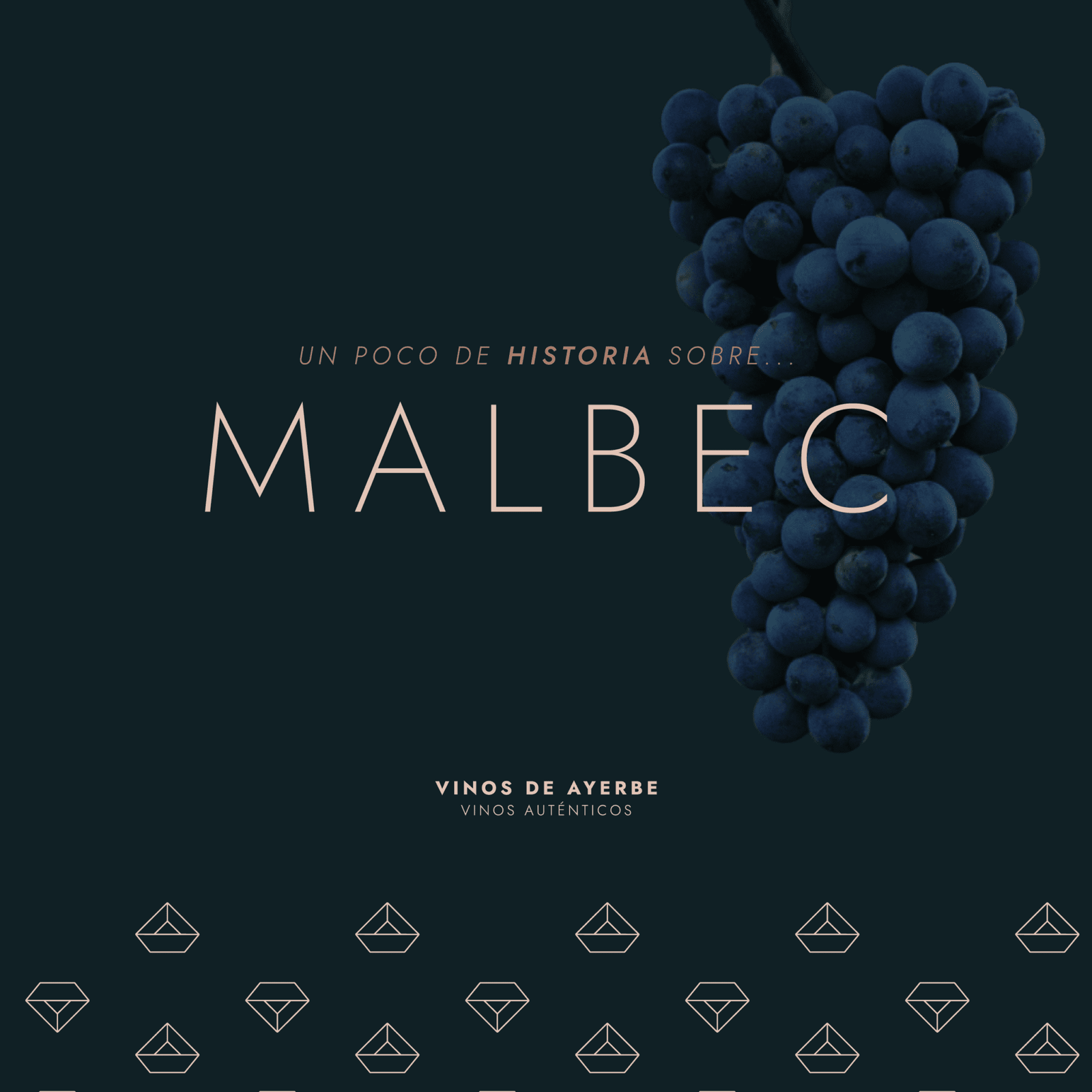 Argentina tierra del malbec - blog Vinos de Ayerbe